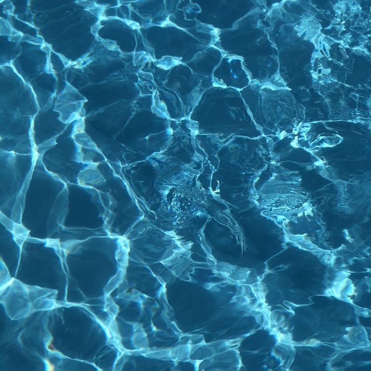 Blue bonds: What they are, and how they can help the oceans – Caribbean ...